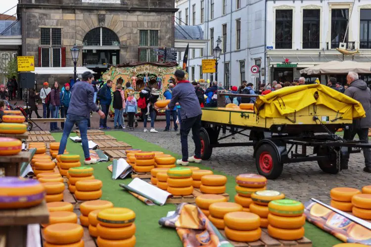 Pratos típicos da Holanda: conheça a gastronomia do país