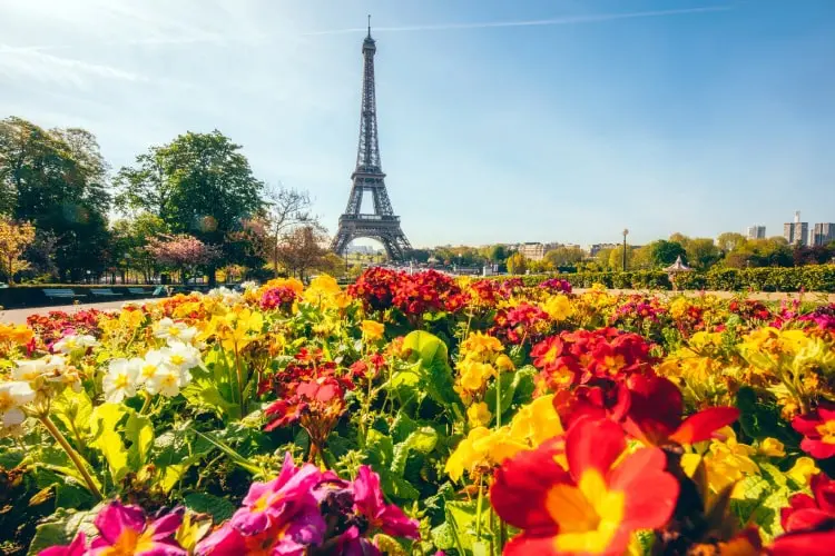 Primavera na Europa: descubra as belezas da estação das flores
